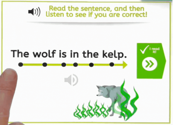 Decodable Sentences with Focus on Ending Consonant Blends – My Three ...